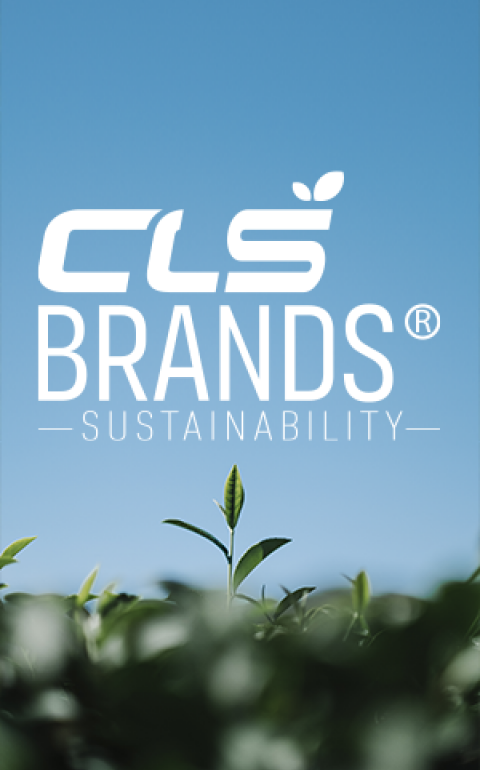 Catálogo Português 2024/2025 CLS BRANDS